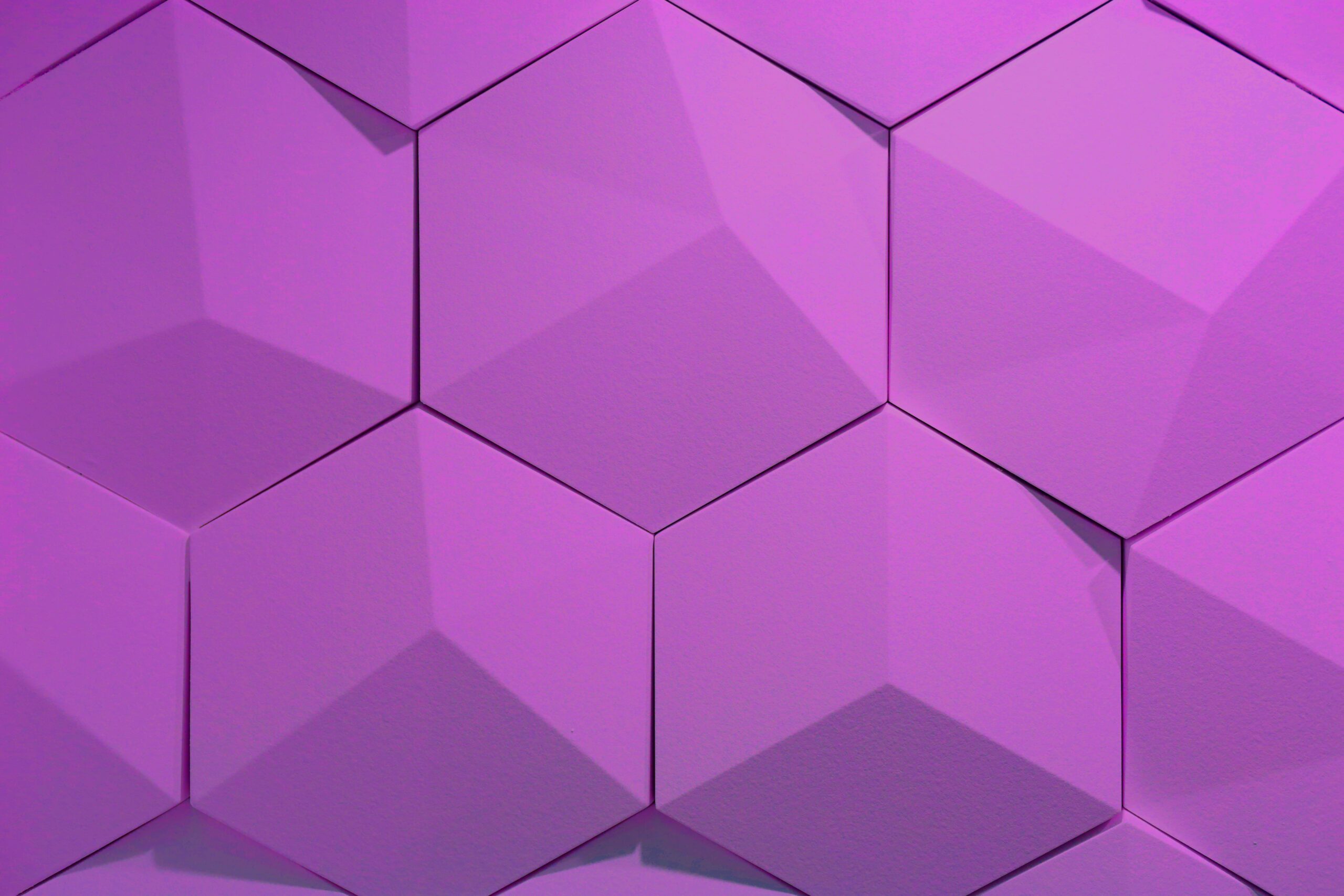 Purple wall - Qualia Academy