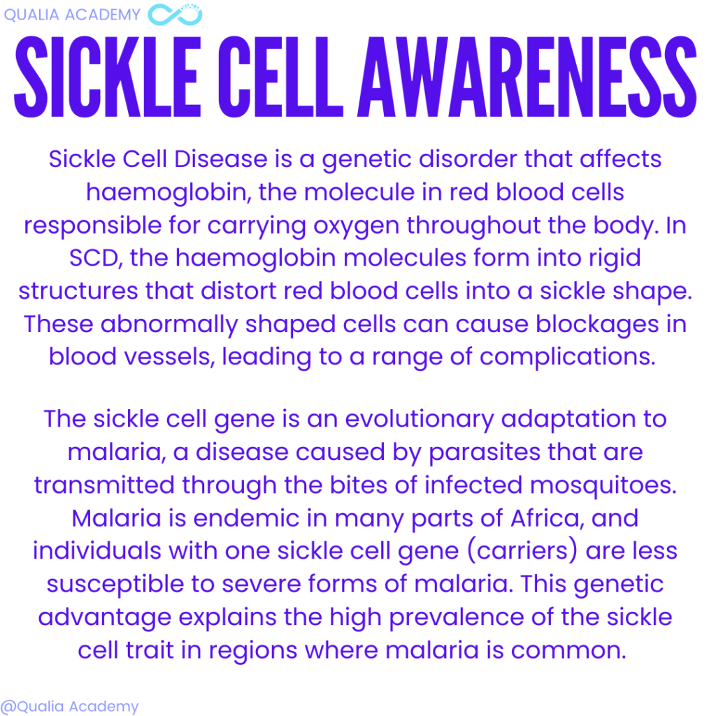 Understanding Sickle Cell Disease: A Comprehensive Overview - 11th ...